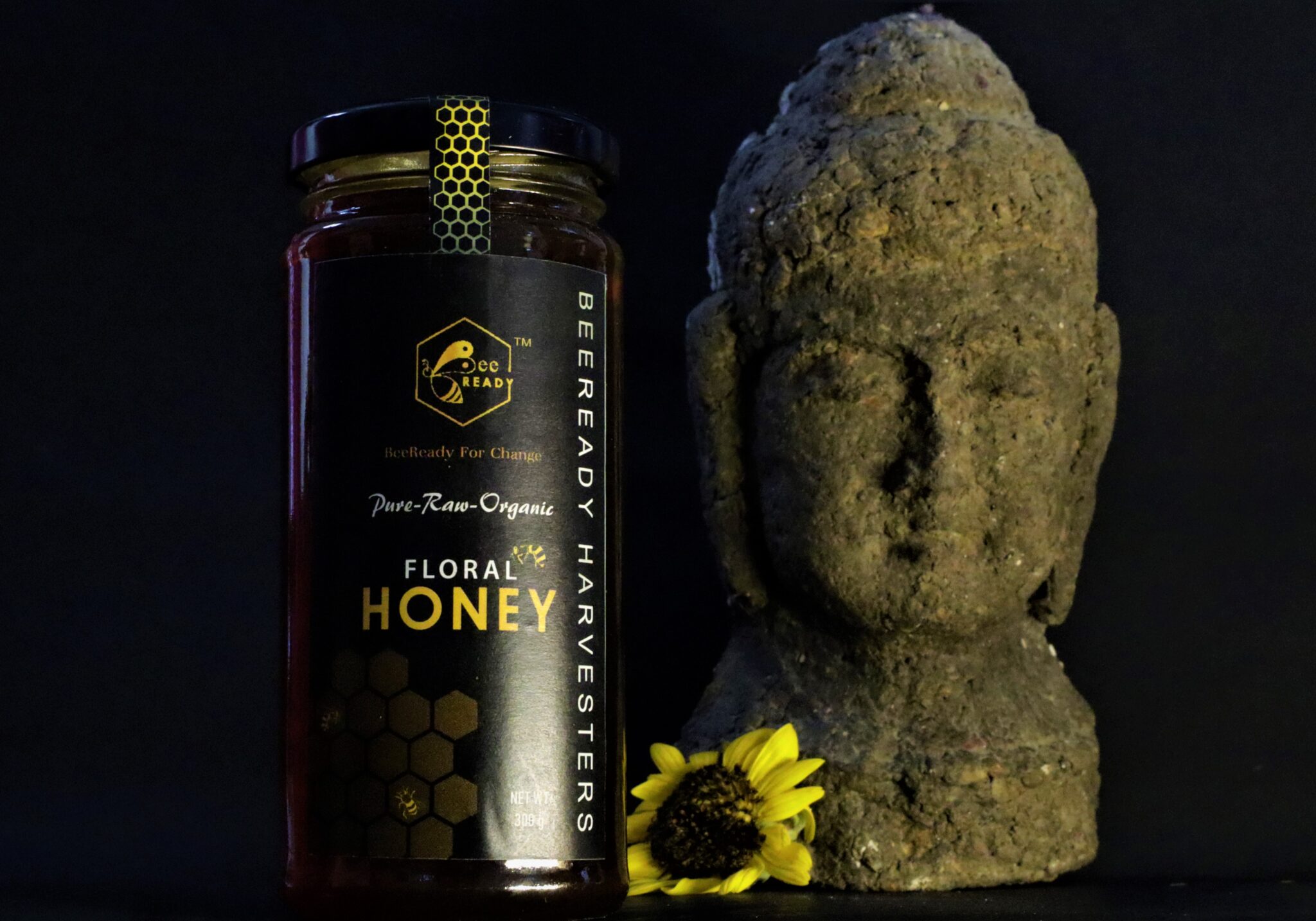 Bee Ready – BEEREADY FOR CHANGE